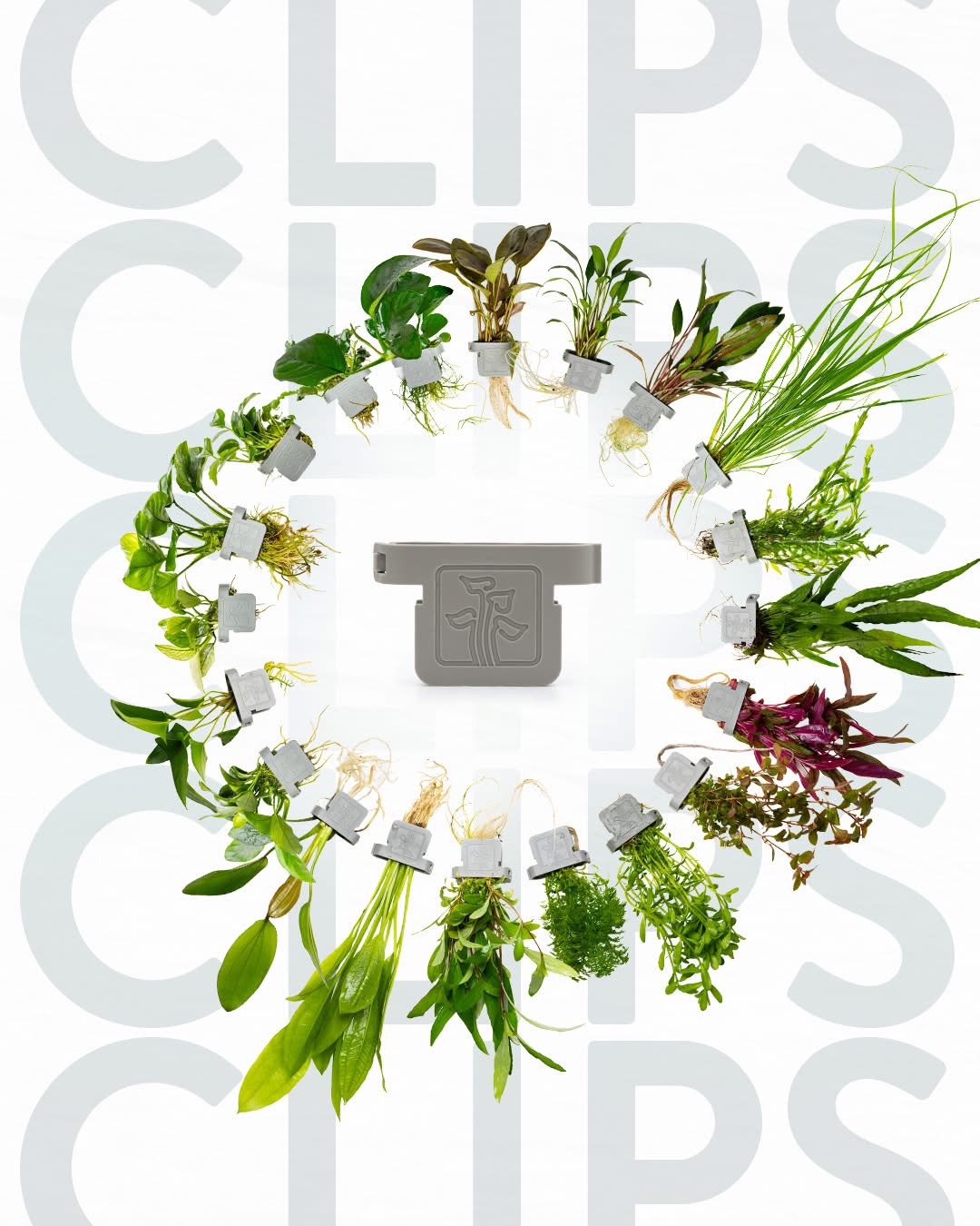 10 x Assorted Plant Clips Online | Aquarium plants UK | Aquatic Plants